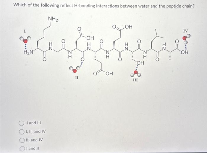 Solved Which of the following reflect H-bonding interactions | Chegg.com