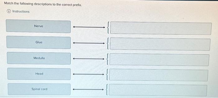 Solved Match the following descriptions to the correct | Chegg.com