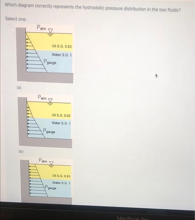 Solved Which diagram correctly represents the hydrostatic | Chegg.com