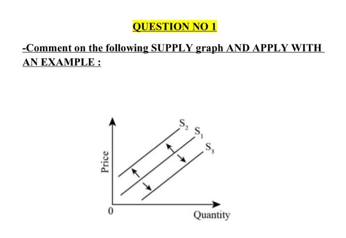 Solved -Comment on the following SUPPLY graph AND APPLY WITH | Chegg.com