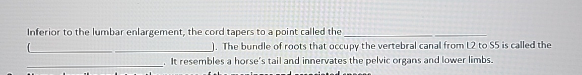 Solved Inforine th the limhar onlarooment the rord tapers to | Chegg.com