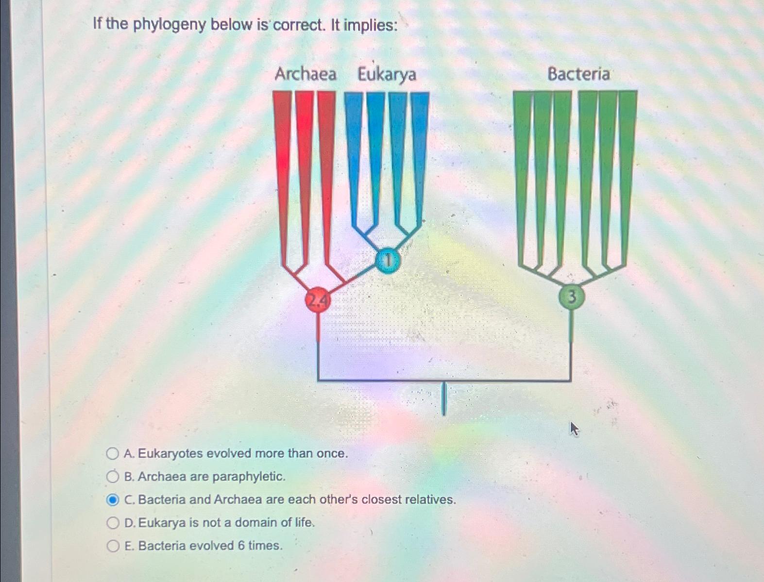Solved If the phylogeny below is correct. It implies:A. | Chegg.com