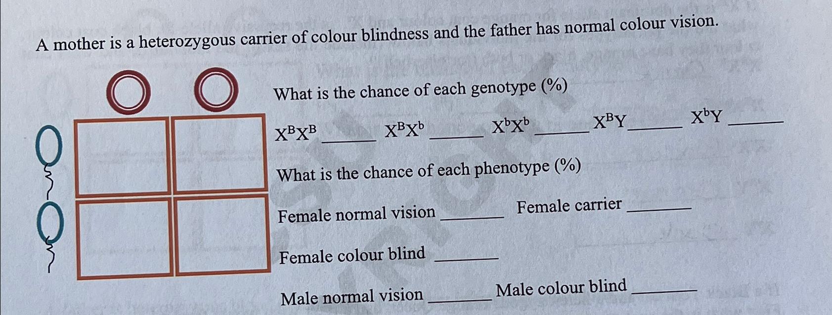 Solved A mother is a heterozygous carrier of colour | Chegg.com