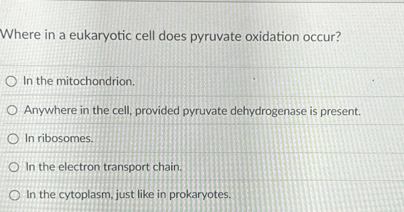 Solved Where in a eukaryotic cell does pyruvate oxidation | Chegg.com
