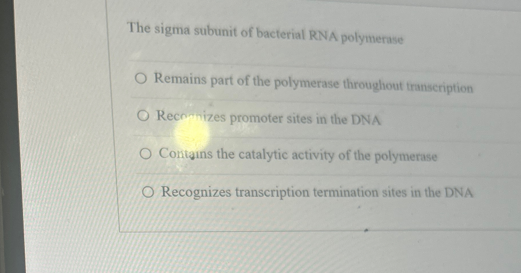 Solved The sigma subunit of bacterial RNA polymeraseRemains | Chegg.com