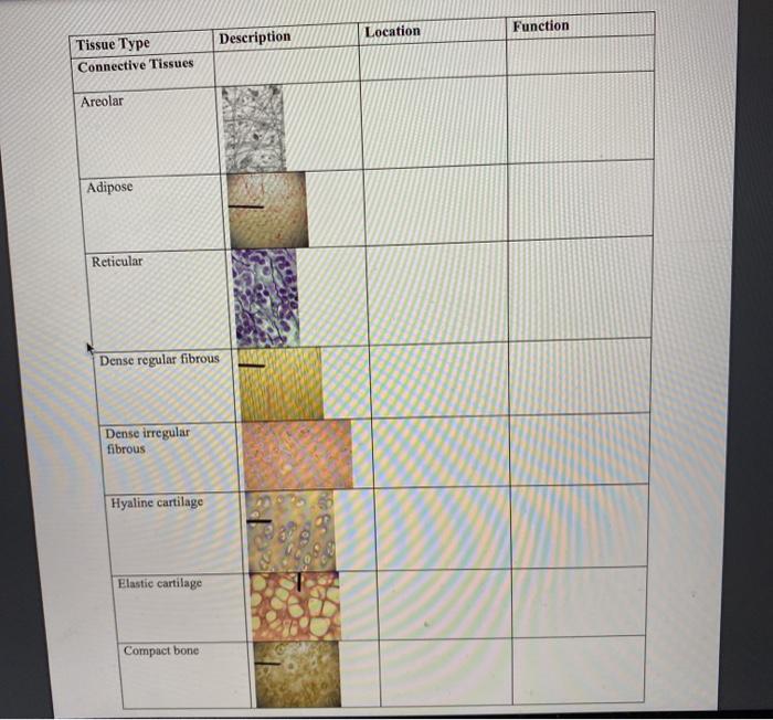 Solved Anatomy & Physiology 34A Lab Exercise 6-Tissues 1. | Chegg.com