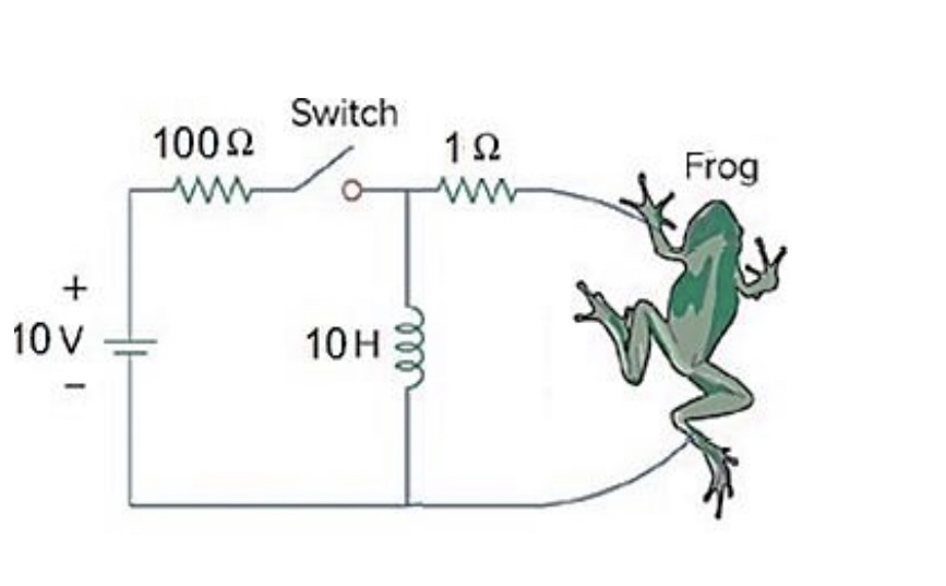 Solved In the shown circuit, you may model the frog as a | Chegg.com