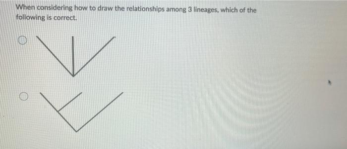 [Solved]: When considering how to draw the relationships am