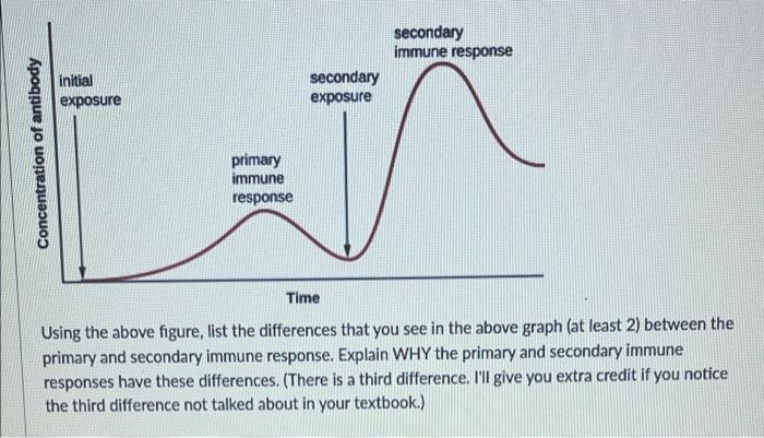 Solved secondary immune response initial exposure secondary | Chegg.com