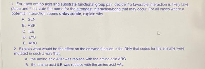 You have discovered a new enzyme that you name | Chegg.com