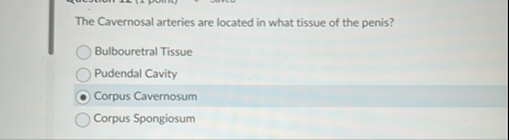 The Cavernosal arteries are located in what tissue of | Chegg.com