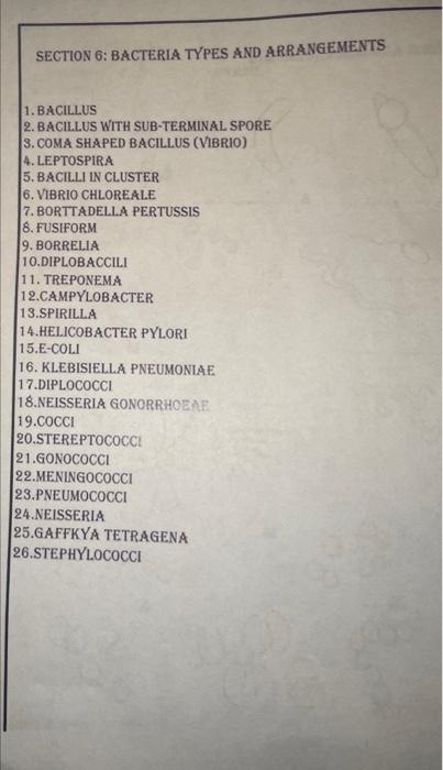 Solved SECTION 6: BACTERIA TYPES AND ARRANGEMENTS SECTION | Chegg.com