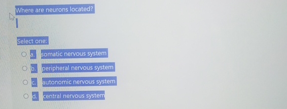 Solved Where are neurons located? a. ﻿somatic nervous | Chegg.com