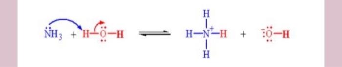 Solved In this reaction, the hydroxyl ion is the conjugate | Chegg.com