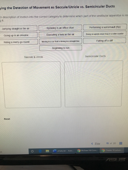 Solved ing the Detection of Movement as Saccule/Utricle vs. | Chegg.com