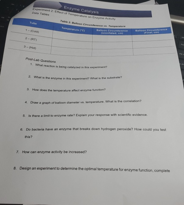 Table 2: Balloon Circumference vs. Temperature Enzyme | Chegg.com