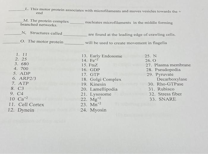 Solved 1. 11 2. 25 3. 680 4. 700 5. ADP 6. ARP2/3 7. ATP 8. | Chegg.com