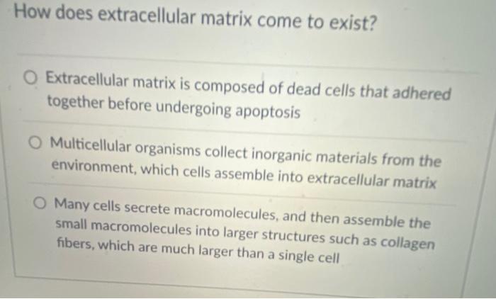 Solved How does extracellular matrix come to exist? | Chegg.com