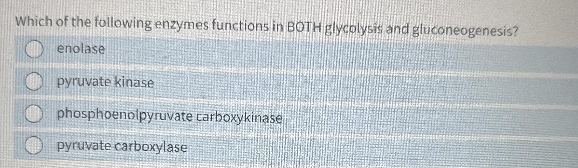 Solved Which of the following enzymes functions in BOTH | Chegg.com
