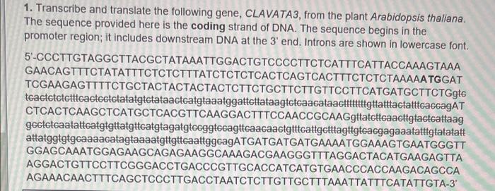 Solved transcribe and translate for the mRNA and protein | Chegg.com