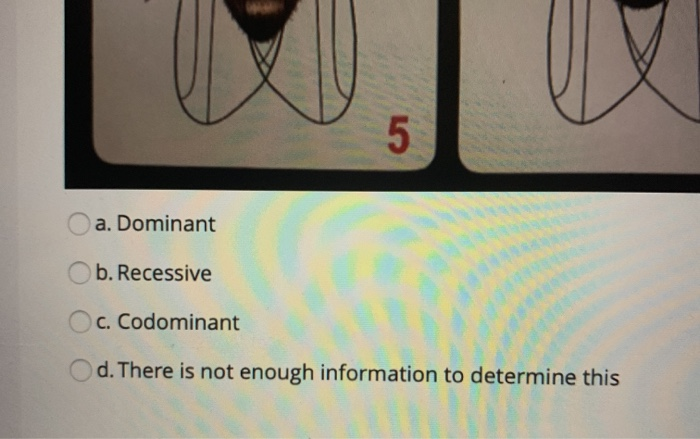 Solved Use the picture to answer the following: Is the male | Chegg.com