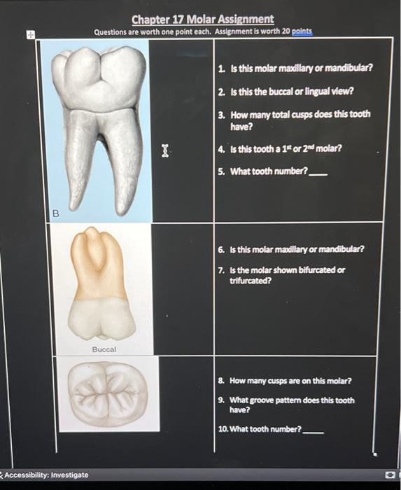 Solved B Chapter 17 Molar Assignment Questions are worth one | Chegg.com