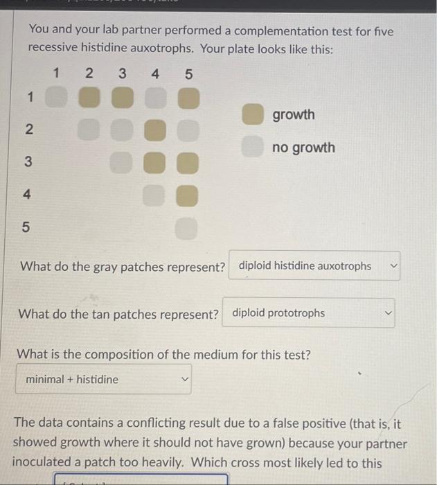 Solved You and your lab partner performed a complementation | Chegg.com