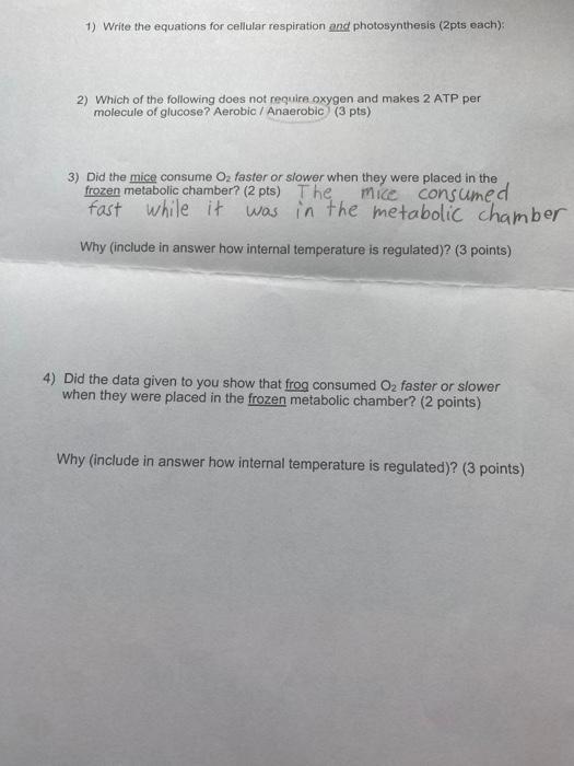 1) Write the equations for cellular respiration and | Chegg.com