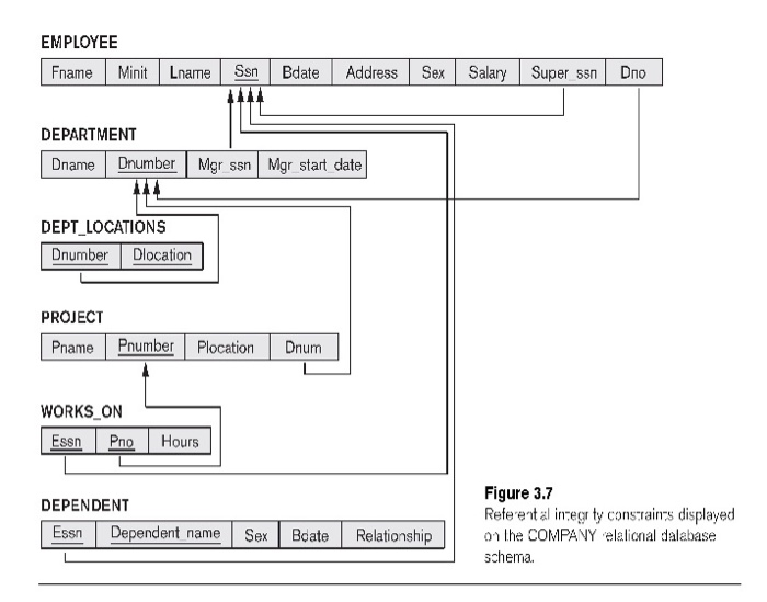 Solved (20 pts, 5 pts each) In the context of the COMPANY | Chegg.com