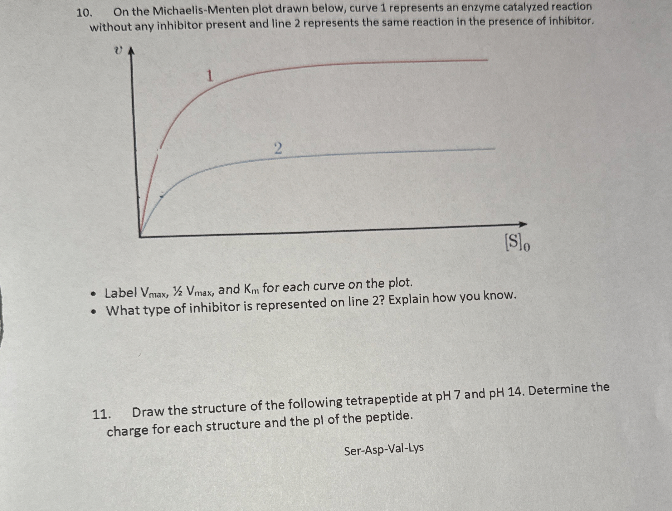 Solved On the Michaelis-Menten plot drawn below, curve 1 | Chegg.com