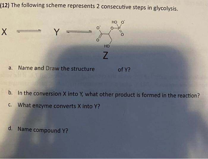 Solved (12) The following scheme represents 2 consecutive | Chegg.com