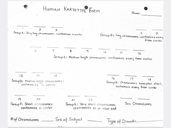 Human Karyotype form Name: Group A: Very long | Chegg.com