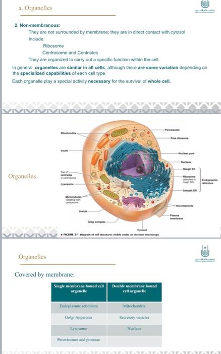 A cell consists of three major parts Nucleus | Chegg.com
