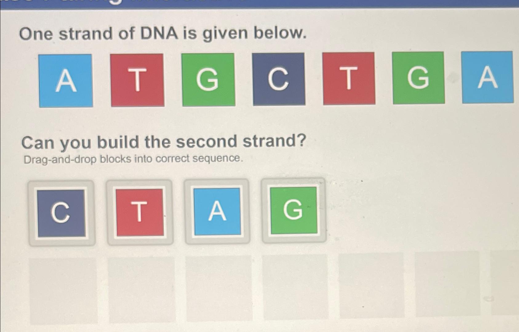 Solved One strand of DNA is given below.Can you build the | Chegg.com