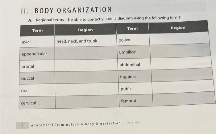 Solved A. Regional terms - be able to correctly label a | Chegg.com