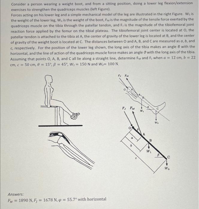 Solved Consider a person wearing a weight boot, and from a | Chegg.com