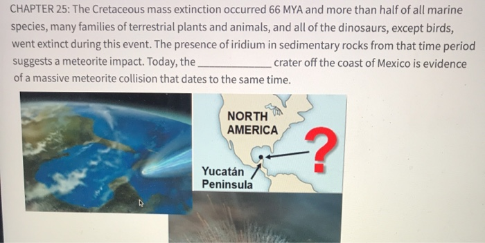 Solved CHAPTER 25: The Cretaceous mass extinction occurred | Chegg.com
