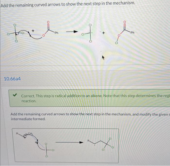 Solved The Kharasch reaction is a radical process in which | Chegg.com