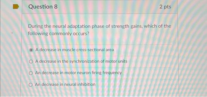 Solved Question 8 2 pts During the neural adaptation phase | Chegg.com