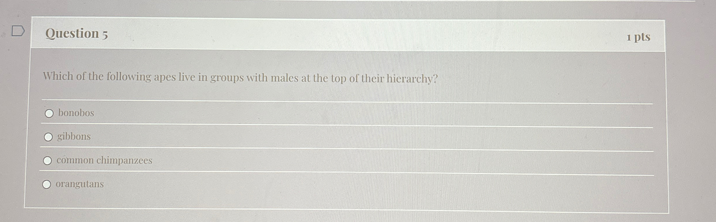 Solved Question 51 ﻿ptsWhich of the following apes live in | Chegg.com