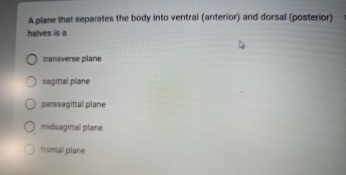 Solved A plane that separates the body into ventral | Chegg.com
