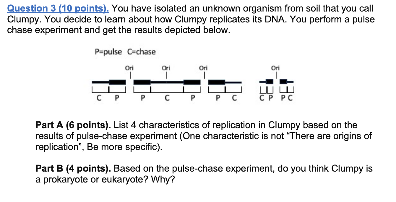 Solved Question 3 (10 ﻿points). ﻿You have isolated an | Chegg.com