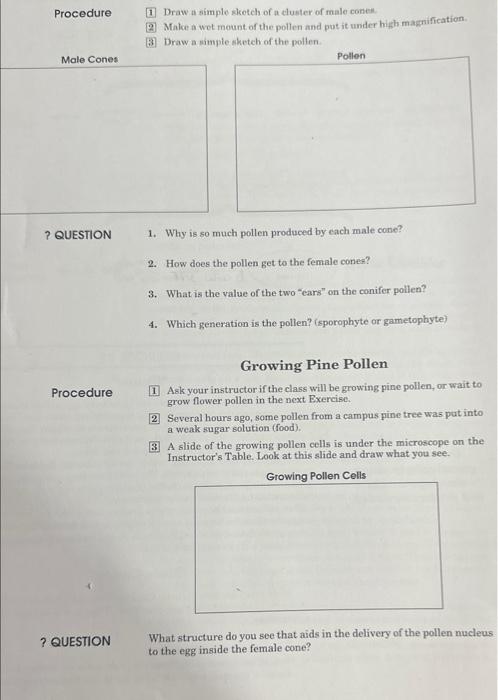 Solved Procedure (1) Draw a simple sketch of a duster of | Chegg.com