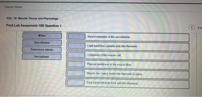 Solved Question | Chegg.com