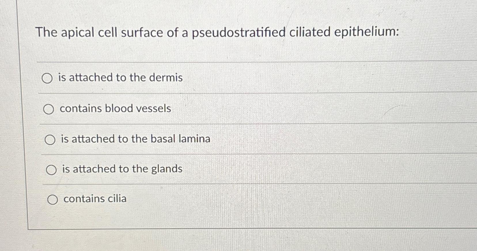 Solved The apical cell surface of a pseudostratified | Chegg.com