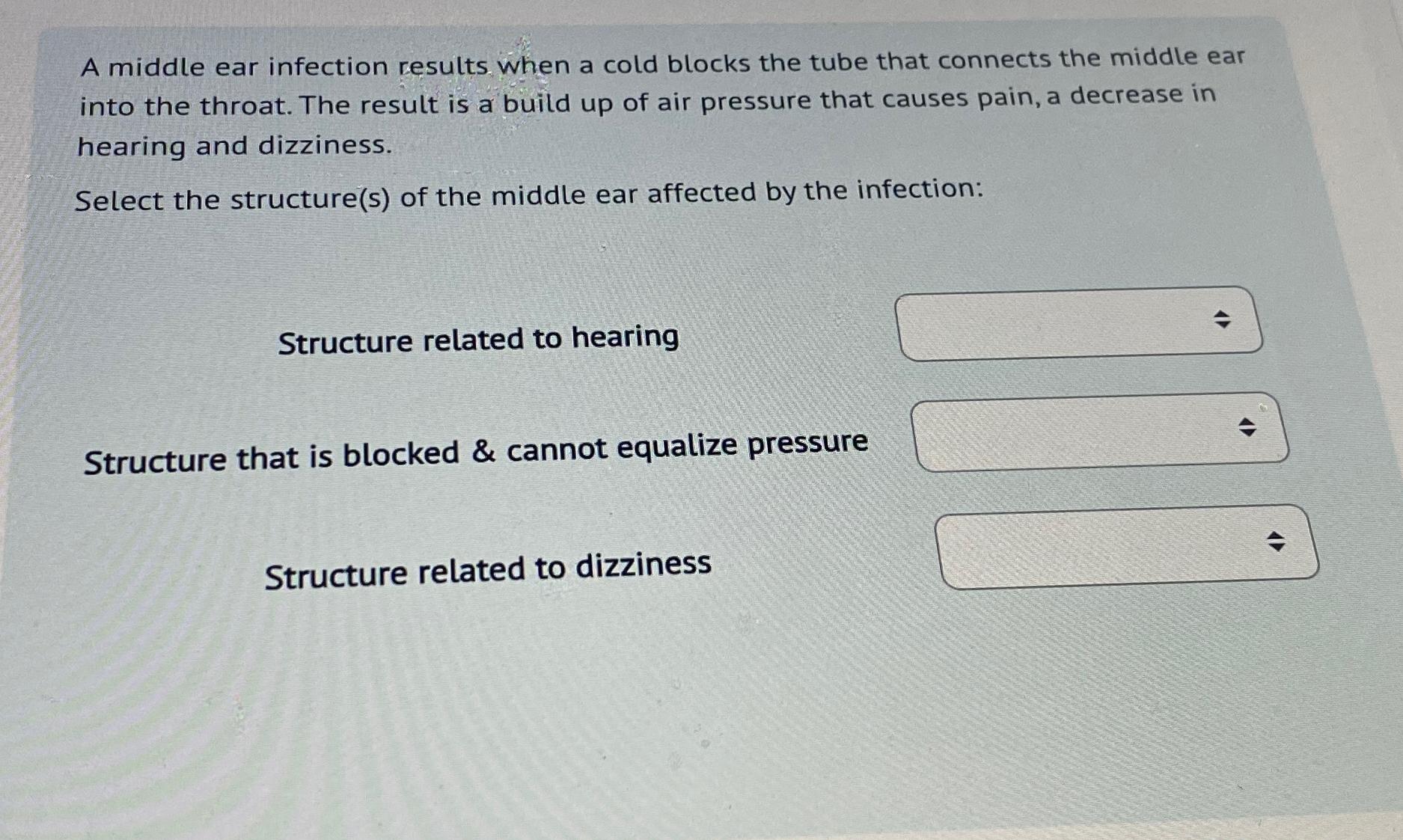 Solved A middle ear infection results when a cold blocks the | Chegg.com