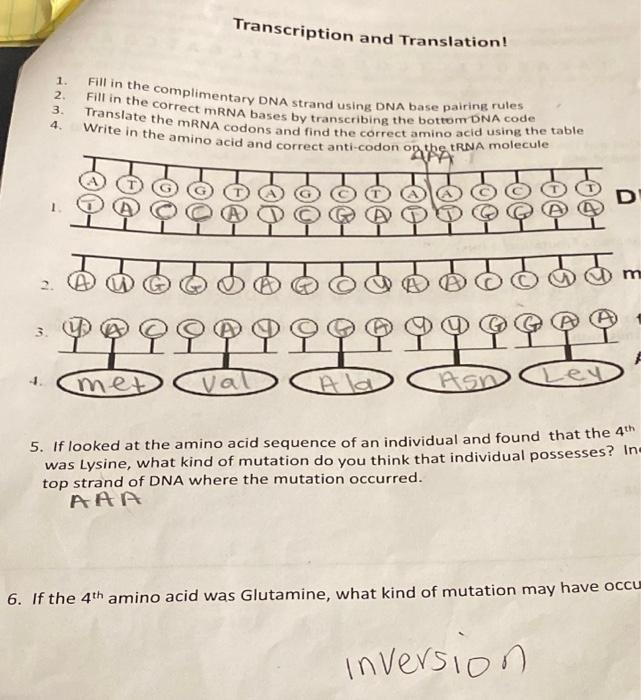 Solved 1. Fill in the complimentary DNA strand using DNA | Chegg.com