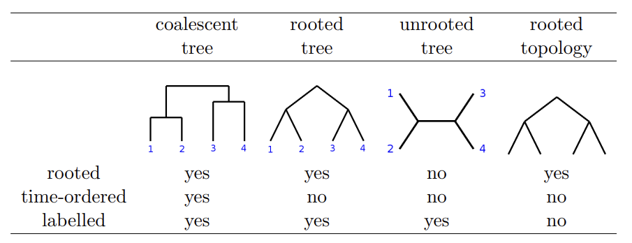 Solved Counting trees We use the same definitions as in the | Chegg.com