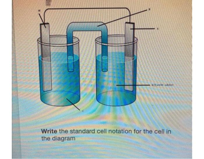 Solved Write the standard cell notation for the cell in the | Chegg.com
