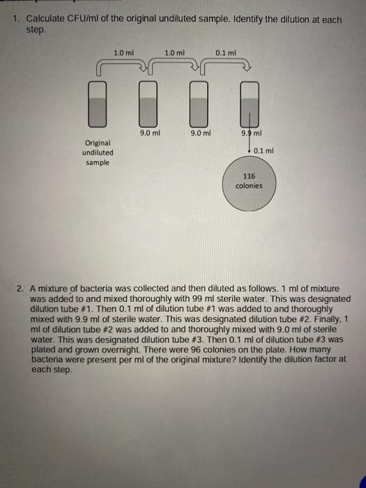 Solved 1. Calculate CFU/ml of the original undiluted sample. | Chegg.com